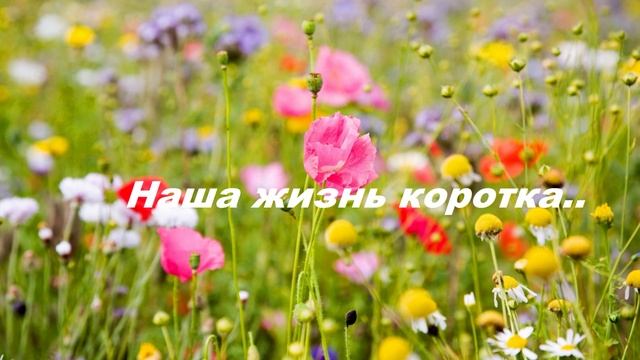 Наша жизнь коротка..
