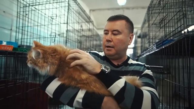 «Заводя животное, вы берёте на себя ответственность за его жизнь и здоровье» – Сергей Ладочкин