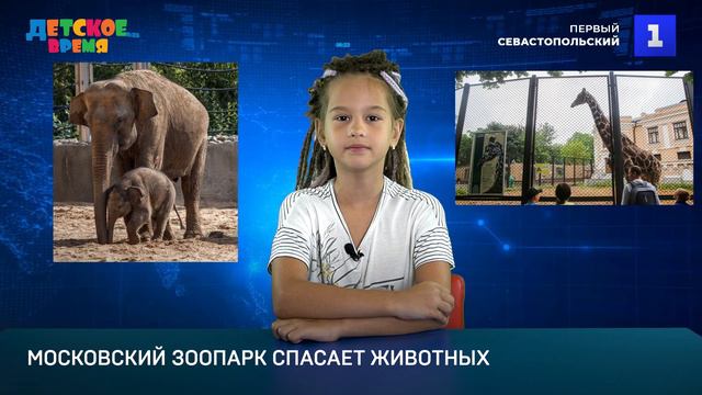 Самые позитивные новости лета 2024