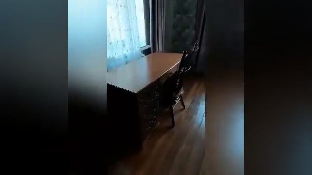 Отзыв на товар: Шкаф "Наири", кровать "Наири" и письменный стол "Наири 8"