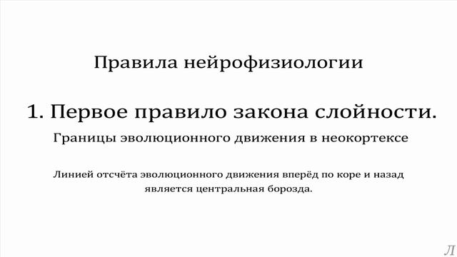 10.1 Правила нейрофизиологии. Первое правило закона слойности