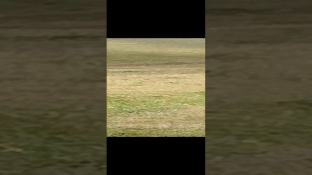 восхождение на вершину Пабаку Дагестан 2