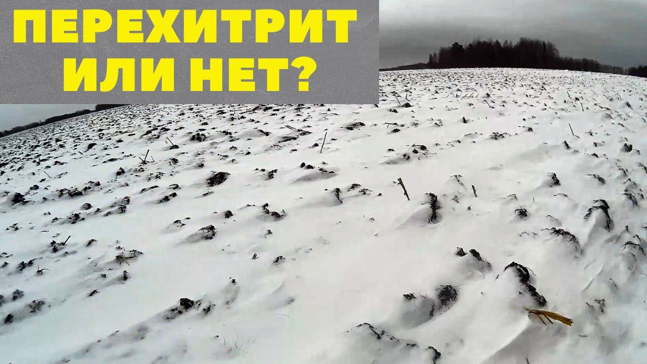 ПОПАЛСЯ КОСОЙ!!!