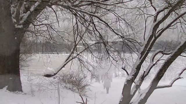 Снежный наряд Косино