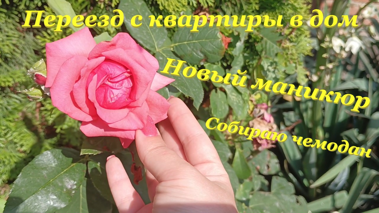 Переезд с квартиры в дом🏡 / Новый маникюр💅🏼 / Собираю чемодан🧳