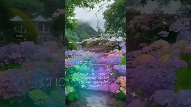 Никогда не беспокойтесь о завтрашнем дне