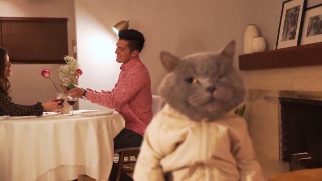 How To Be a Better Purr-son