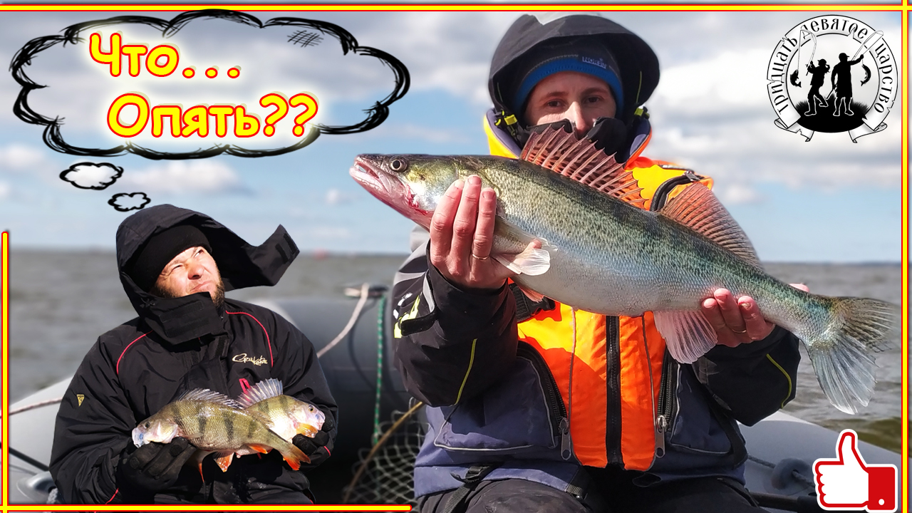 Да как ей это удаётся? Рыбалка на спининг. Ловля судака и окуня.