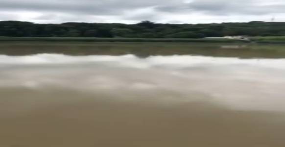 Виктор Шелин. Комсомольское озеро. 21.06.2020г.