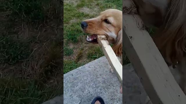 WhatsApp Video 2024-08-24 at 17.21.39
