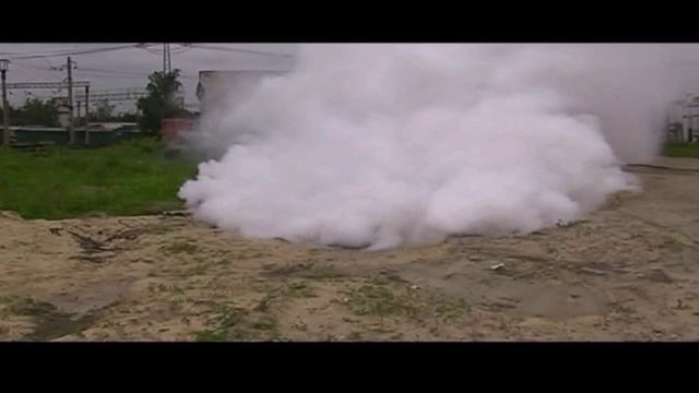 Огнетушитель Лесной волк