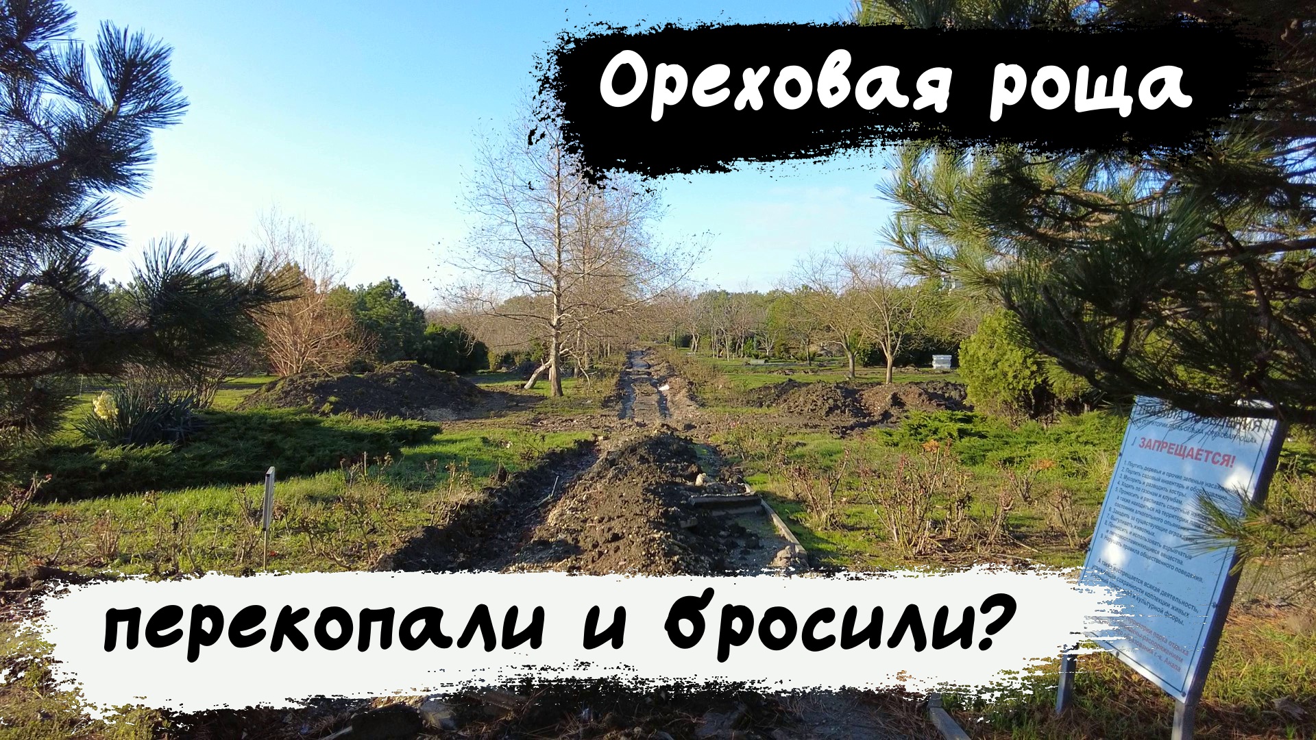 #АНАПА / ОРЕХОВАЯ РОЩА - КОГДА ЭТО ПРЕКРАТИТСЯ? / ЧТО ИЗВЕСТНО О СРОКАХ?