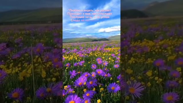 Люблю я видеть, как рассвет приходит к нам