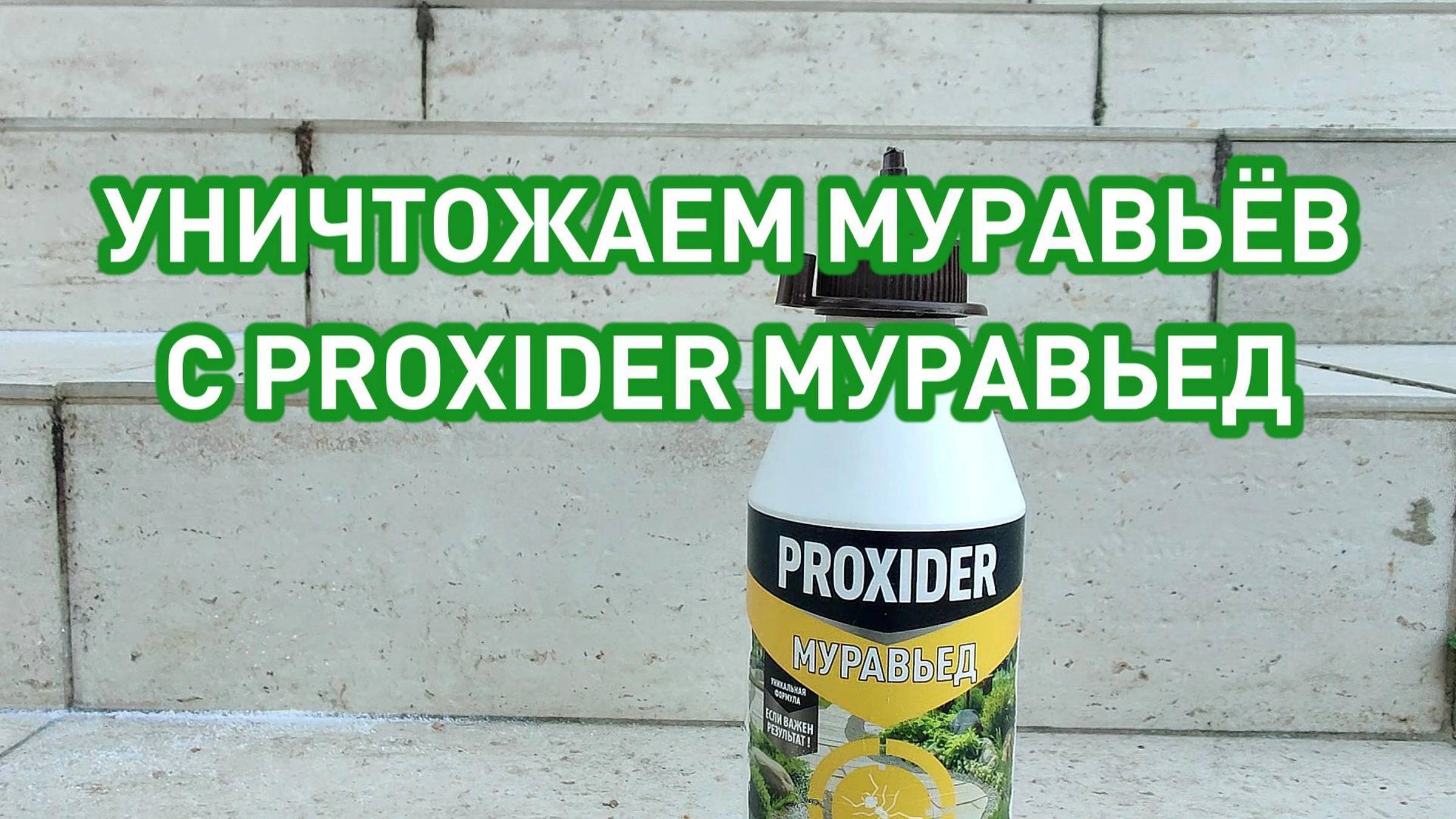 🐜 Избавляемся муравьев дома и на даче с помощью PROXIDER Муравьед
