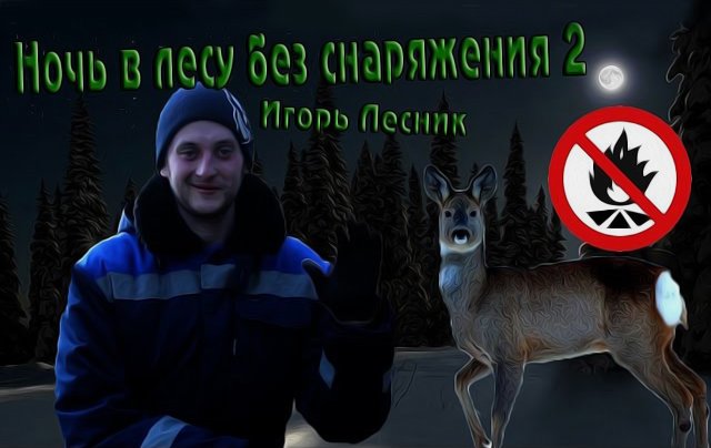 Ночь в лесу когда заблудился. Что можно сделать