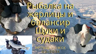 Рыбалка на жерлицы и балансир  Щуки и судаки (март 2021)