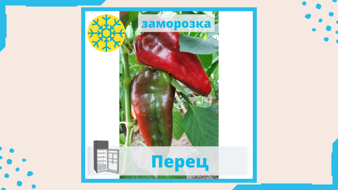Перец заморозка.mp4