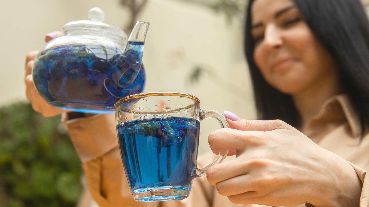 ПРОСТОЙ РЕЦЕПТ ОСВЕЖАЮЩЕГО НАПИТКА ИЗ СИНЕГО ЧАЯ