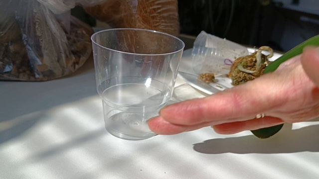 Пересадка АЗИАТСКИХ ОРХИДЕЙ для НАРАЩИВАНИЯ новых КОРНЕЙ👍👍👍 Быстрая АДАПТАЦИЯ ✅