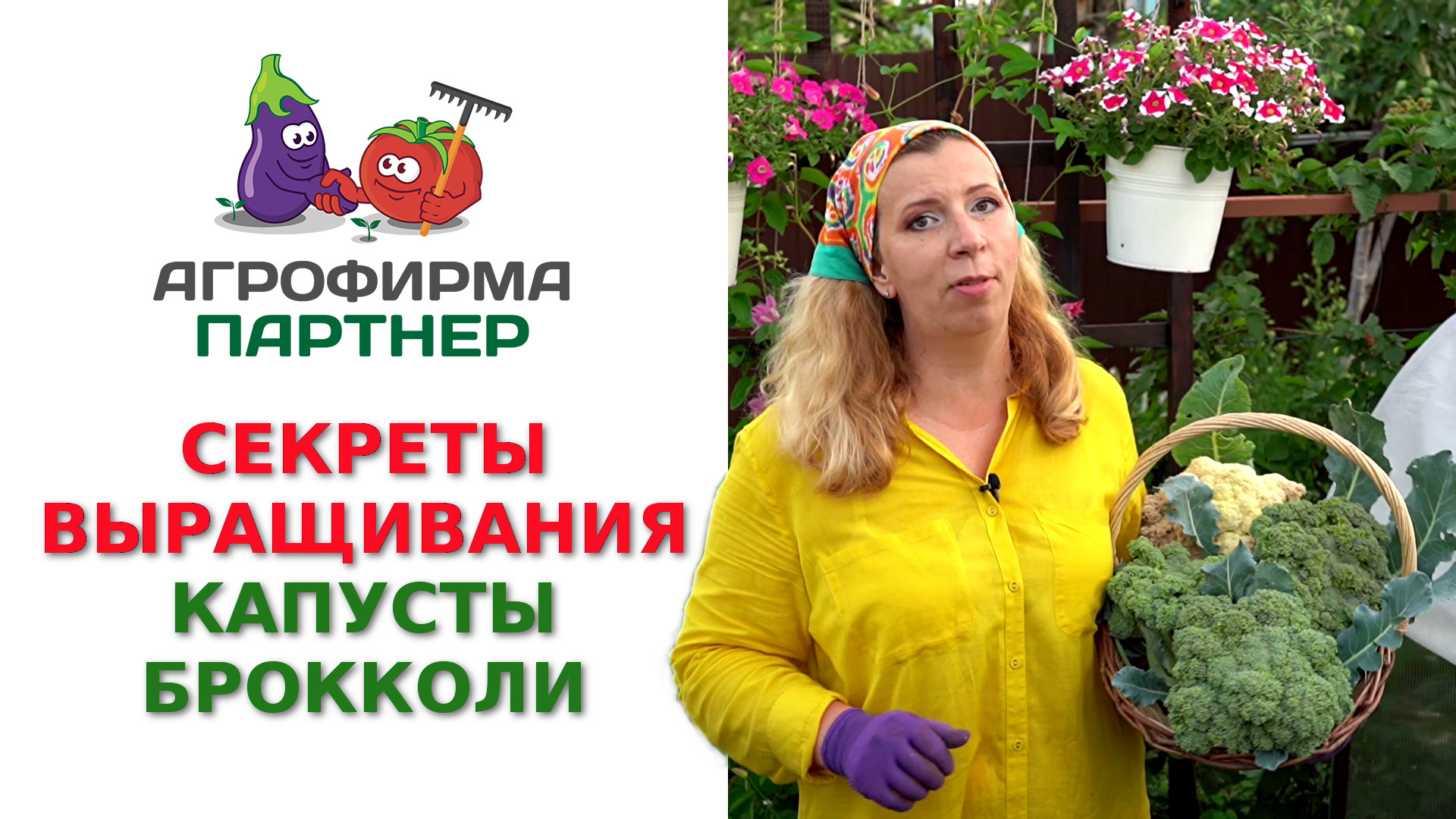 СЕКРЕТЫ ВЫРАЩИВАНИЯ КАПУСТЫ БРОККОЛИ