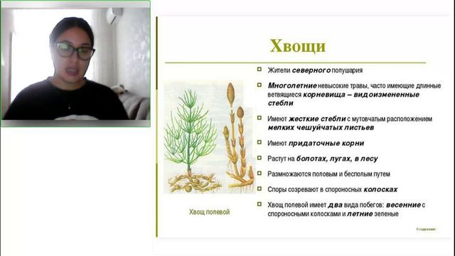 Биология 6 класс 17.09.2024