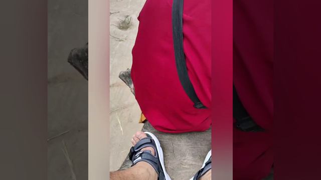 Путешествие по миру