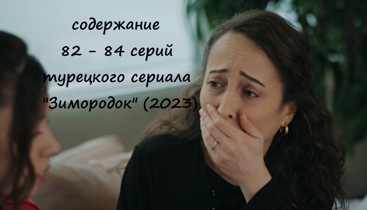 Содержание 82, 83 и 84 серий турецкого сериала "Зимородок" (РФ, 2023)