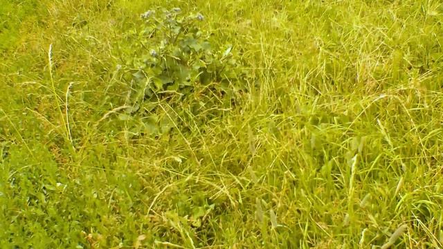 Жаркий летний день