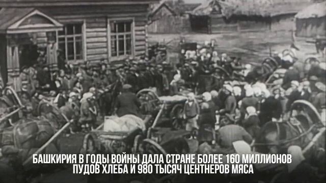 Народный марафон Победы