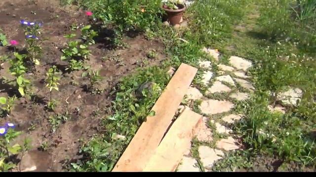 У нас новая крыша. Вид на окрестности с крыши. Стройка продолжается.