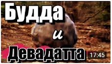 32 ПРОСТИТЬ. ПОНЯТЬ. ПРИНЯТЬ. Будда #пробуждение #просветление  #ум #mind #nirvana #buddha #buddhism