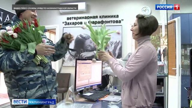 В Калининграде полицейские кинологи поздравили ветеринаров с 8 марта