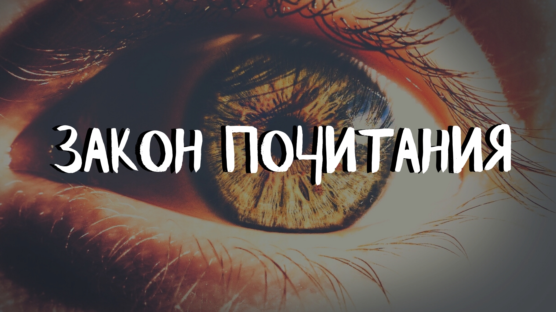 Курс СОЗЕРЦАТЕЛЬНОЙ ЖИЗНИ (1 урок) ЗАКОН ПОЧИТАНИЯ. Андрей Яковишин