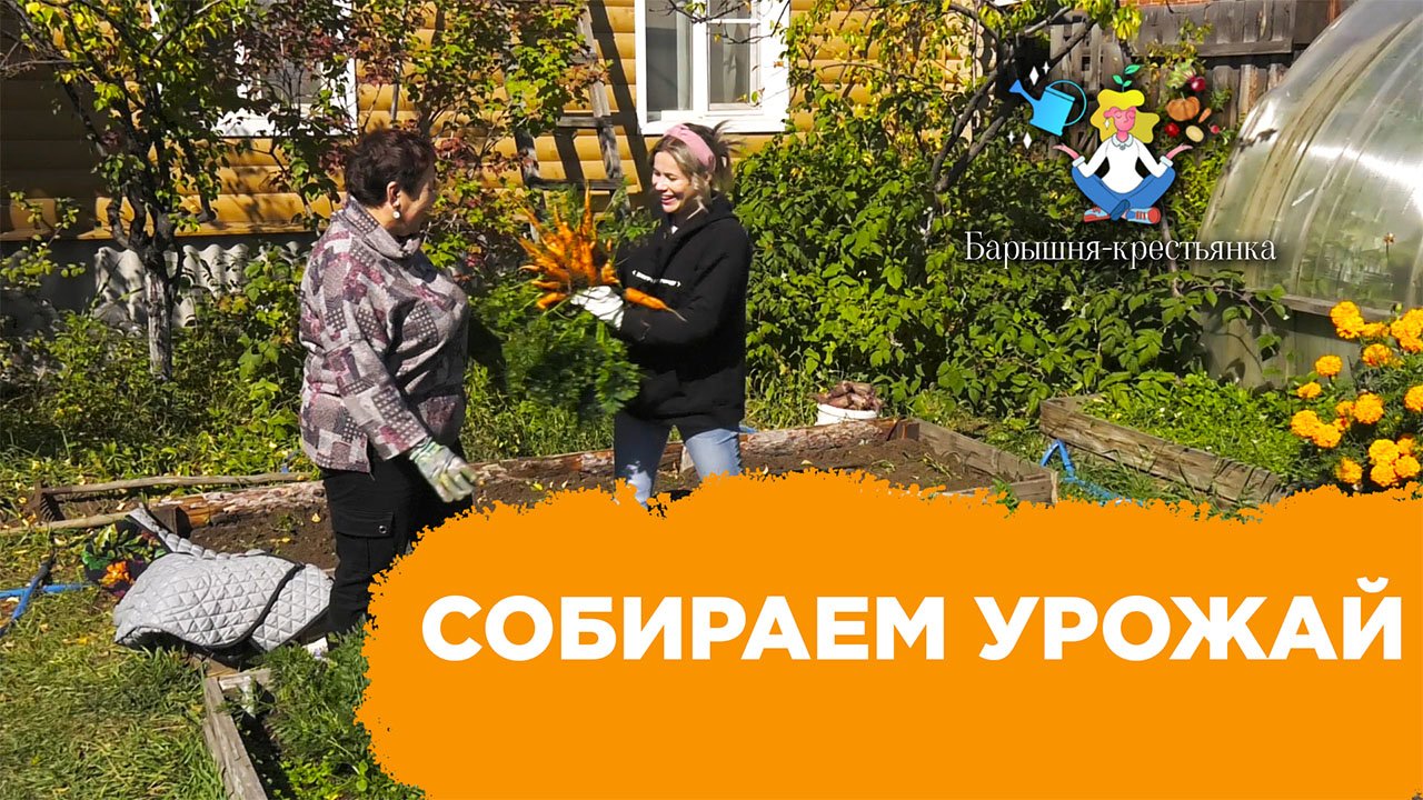 Собираем урожай | Барышня-крестьянка