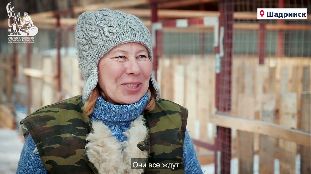 "Приют Надежды" - социальный проект для помощи животным в Шадринске (Курганская обл.)