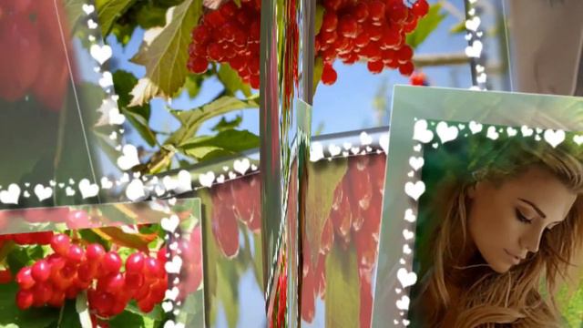 А КАЛИНА КРАСНАЯ