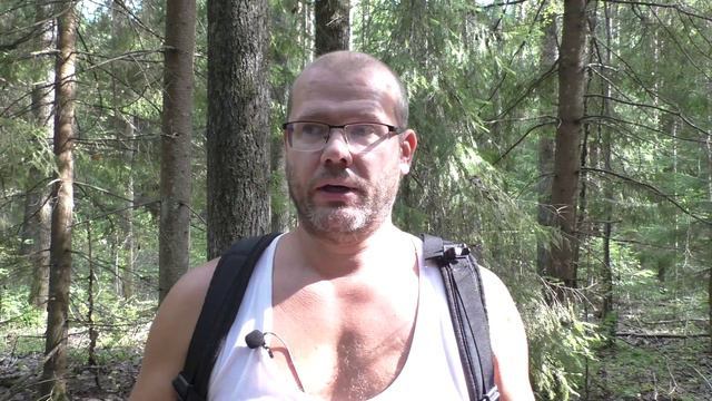 Шекспир, сонет 150