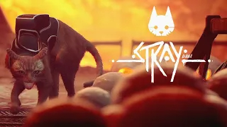 ЧТО ТВОРИТСЯ В КАНАЛИЗАЦИИ! _#5_ Stray