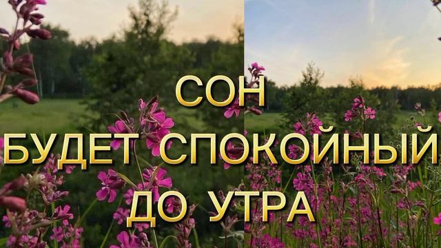 РЕЛАКС .Пение птиц.Благоухание лета.Смолка цветет.