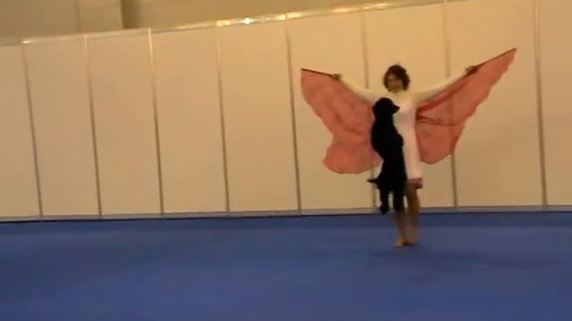 Танцы с собакой