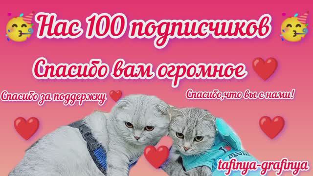 Видео 55. 🥳 100 подписчиков 🥳
Огромное спасибо вам друзья ! ❤️