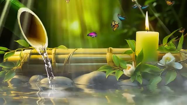 Целебная музыка при тревожных расстройствах, стрессе и хронической усталости - Исцеляет разум