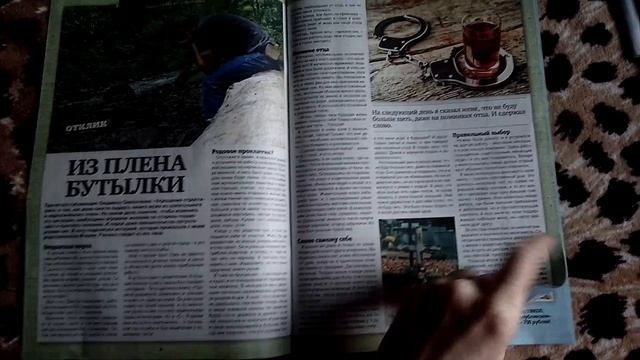 Обзор журналов.