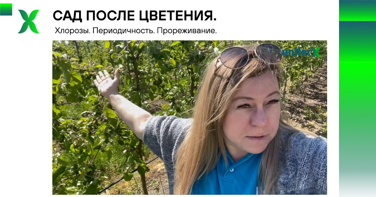 Сад после цветения /Хлорозы/Периодичность / Прореживание