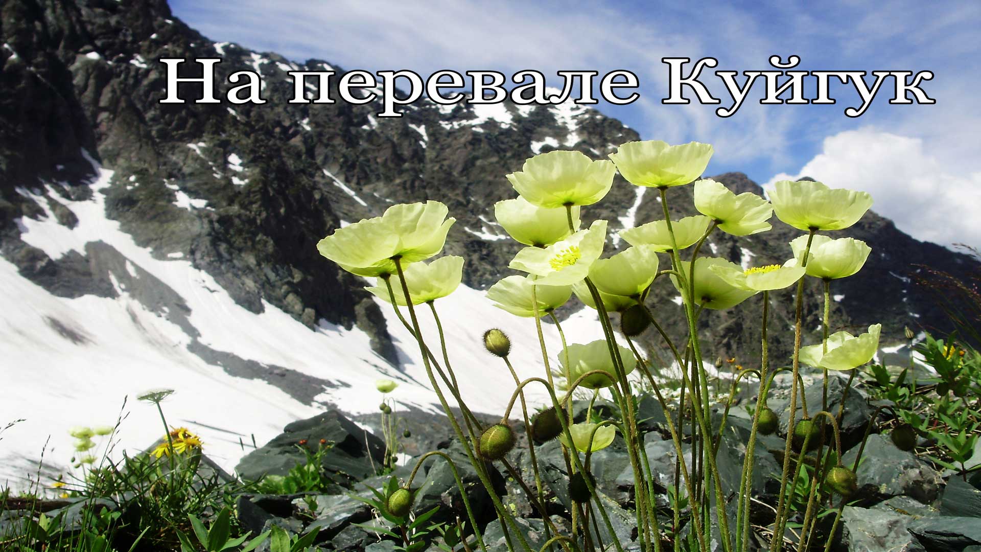 На перевале и леднике Куйгук.mp4