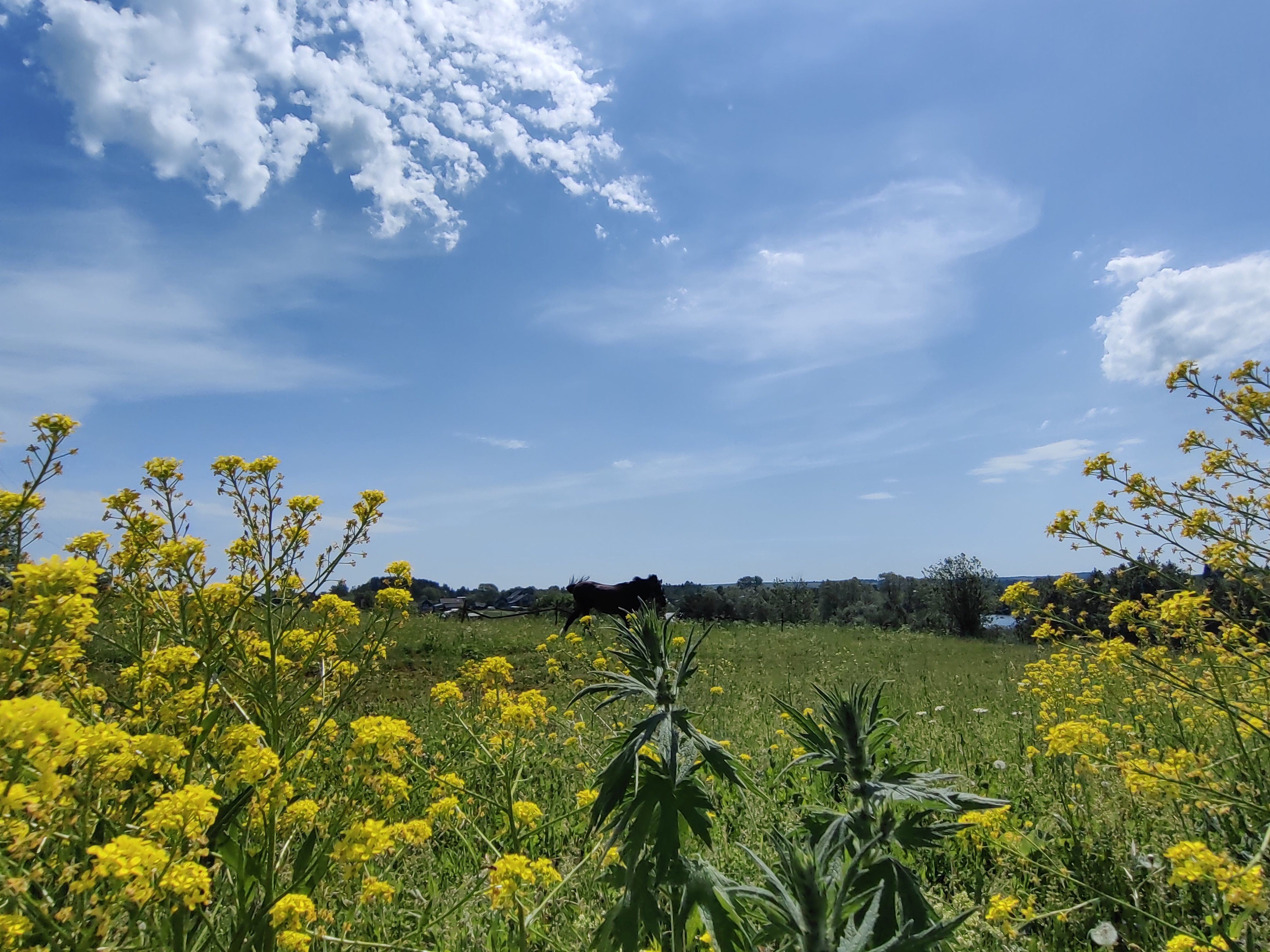 Туристический комплекс "Варяжская Дружина" в Кудрино