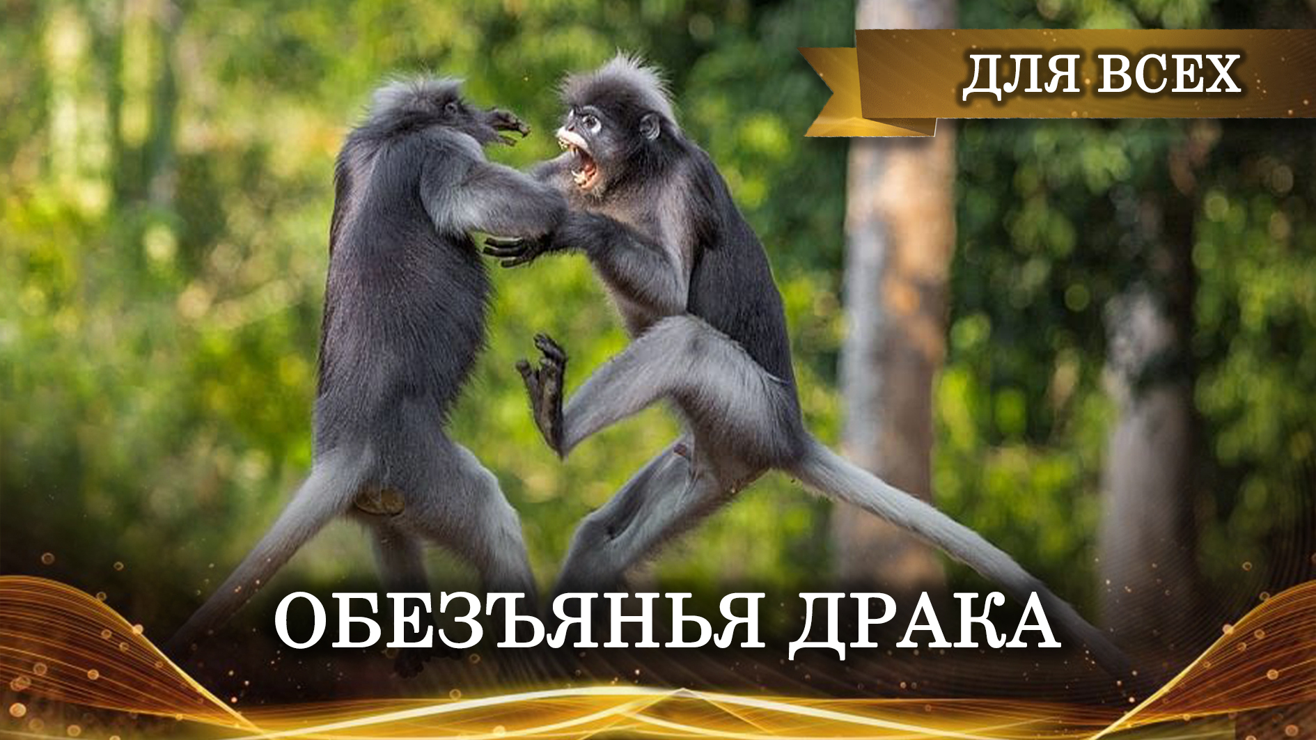 ОБЕЗЬЯНЬЯ ДРАКА РАССОРИТЬ ВРАГОВ ОЧЕНЬ СИЛЬНО ДЛЯ ВСЕХ.mp4