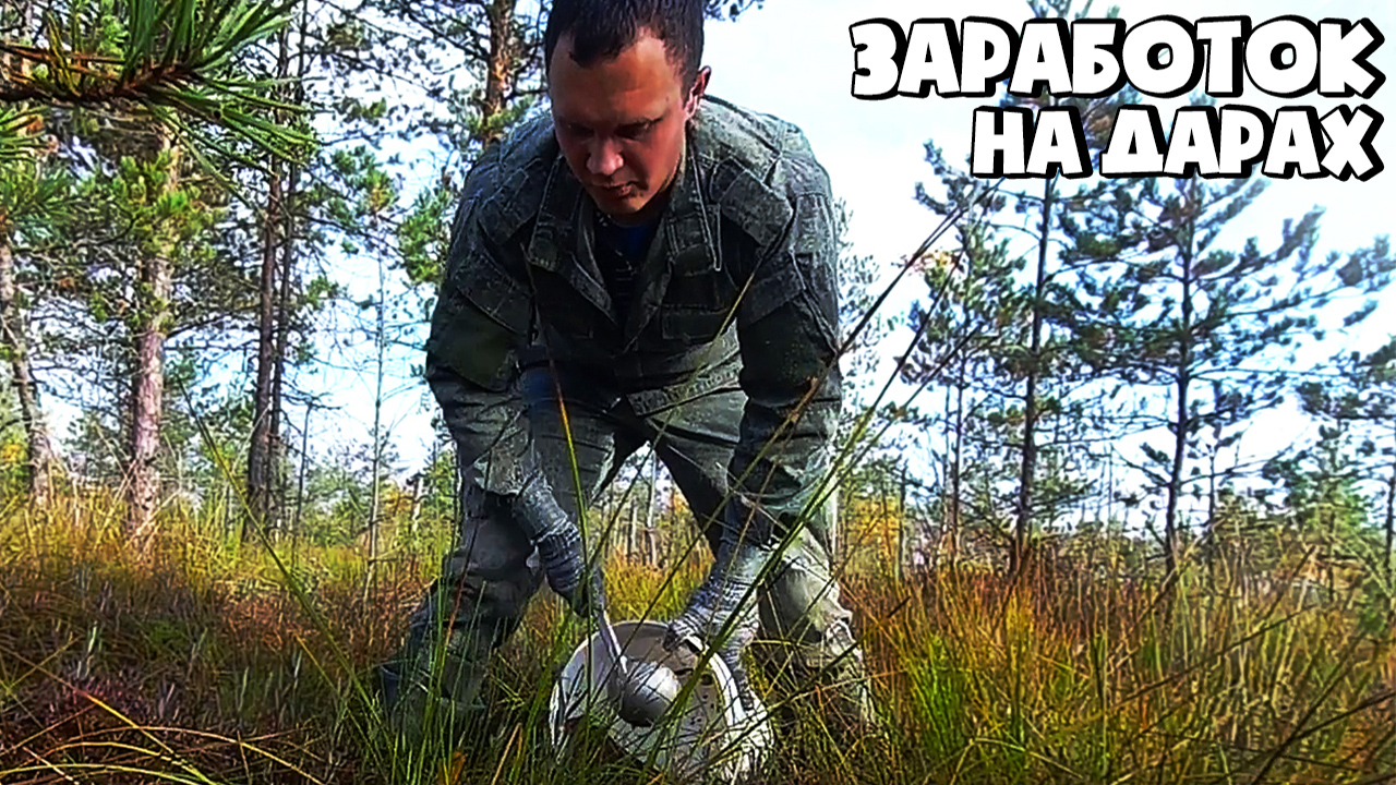 СБОР КЛЮКВЫ ЧЕРПАКОМ! ЗАРАБОТОК В ДЕРЕВНЕ НА КЛЮКВЕ!