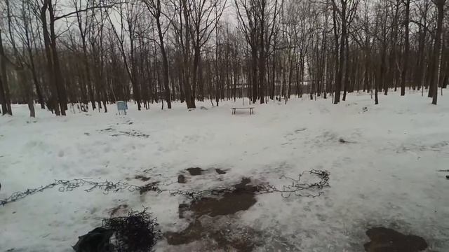 Зима в парке 2016 - 4D кинотеатр ,день здоровья, лыжня России, Золотая шайба