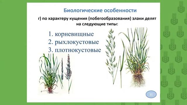 15.2 Растениеводство